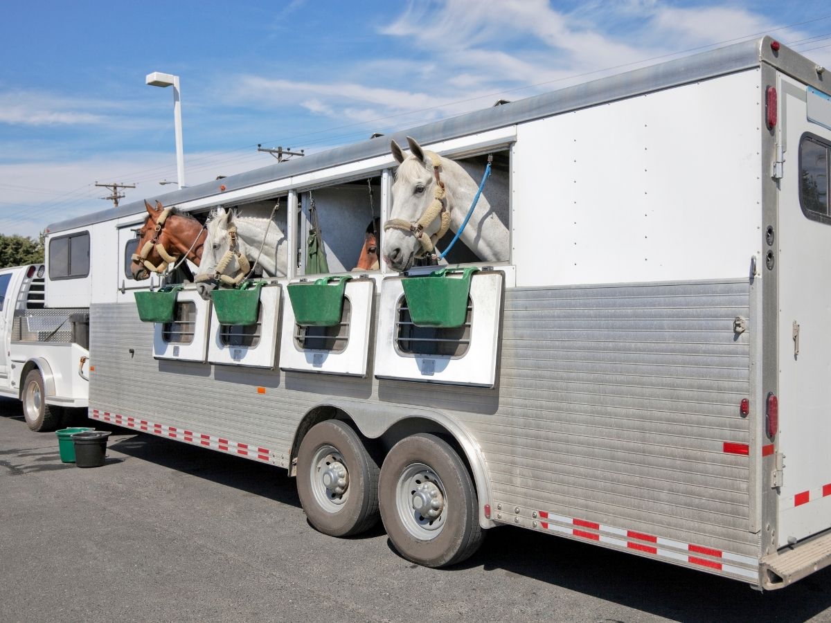 7 Different Types Of Livestock Trailers | Rhinotrail